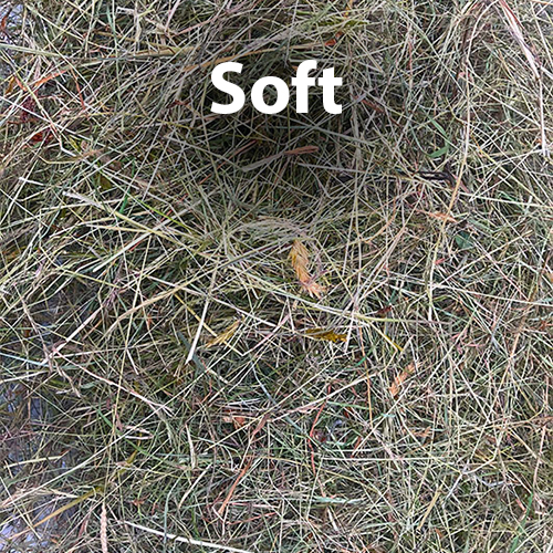 Hay Types